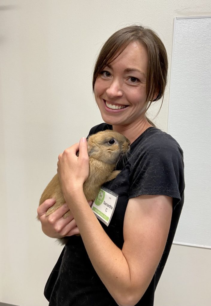 Volunteer Spotlight - Greenhill Humane Society