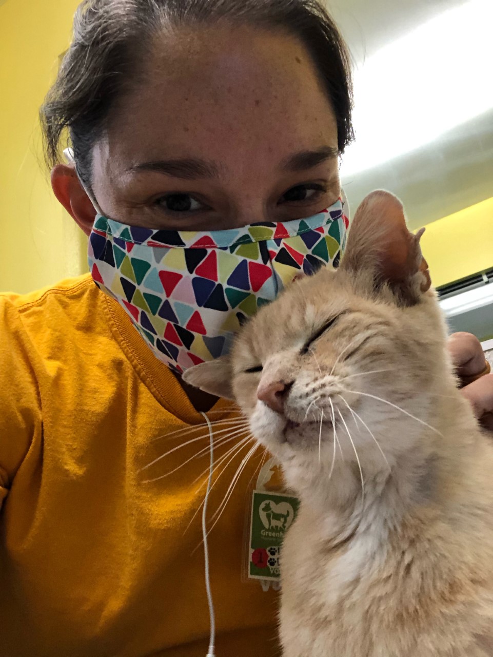 Volunteer - Greenhill Humane Society