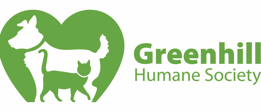 Greenhill launches "More to Love" a Large Dog Success Initiative ...