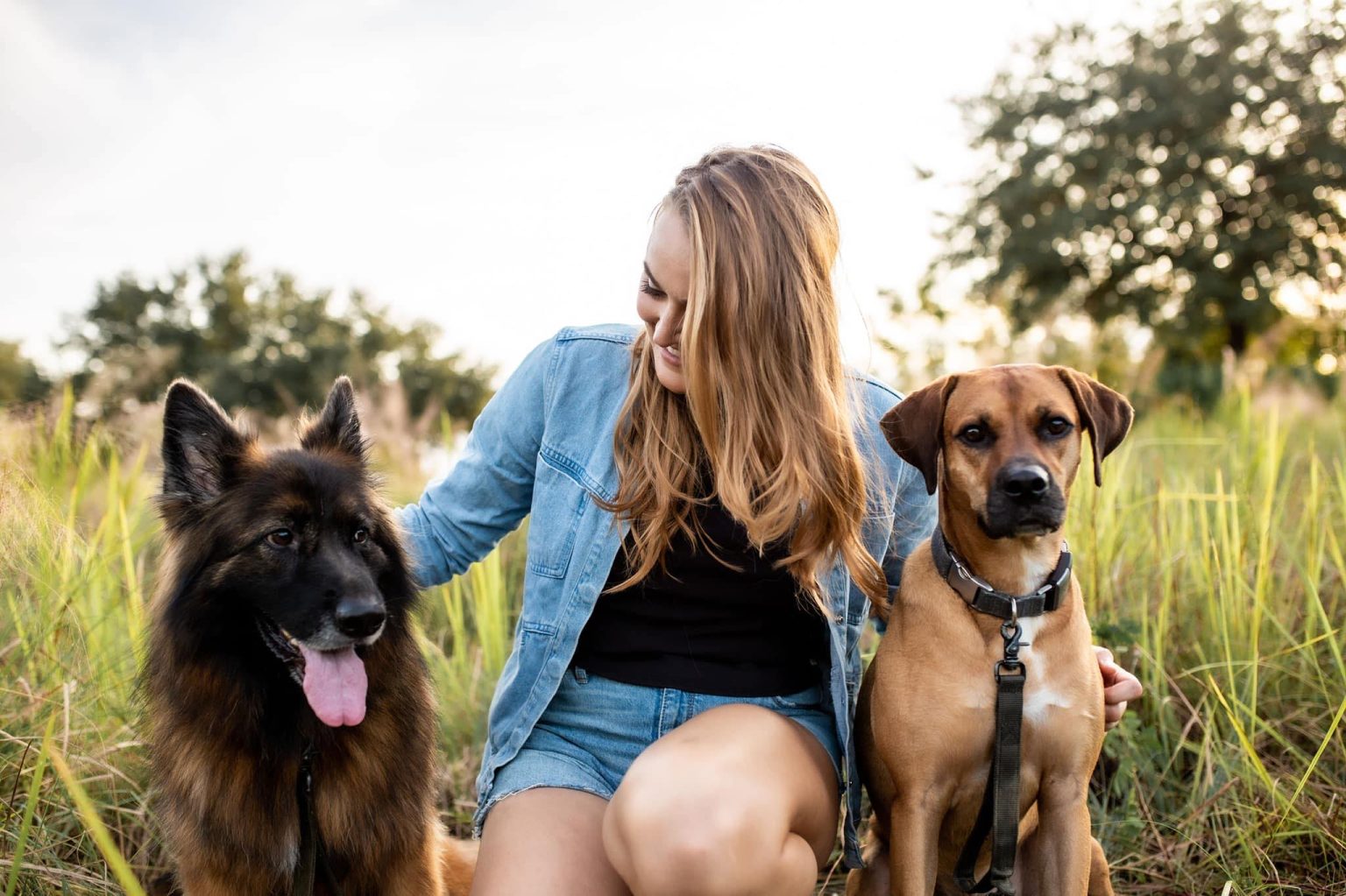 Volunteer - Greenhill Humane Society