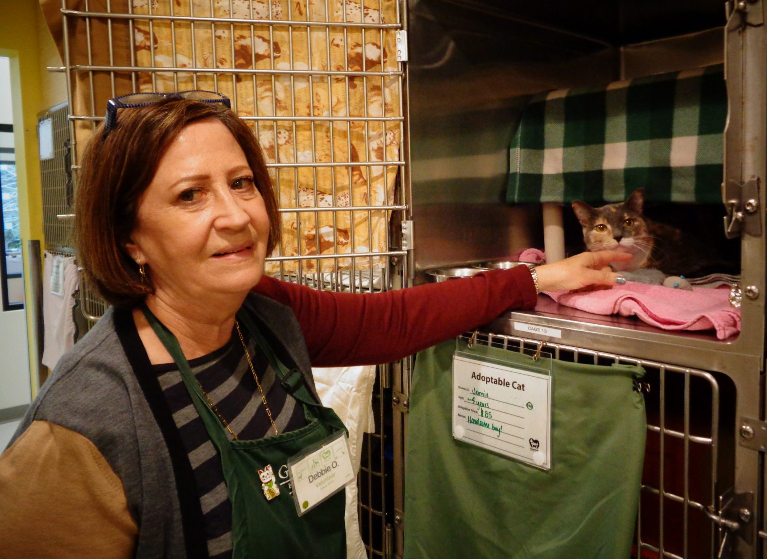 Volunteer - Greenhill Humane Society