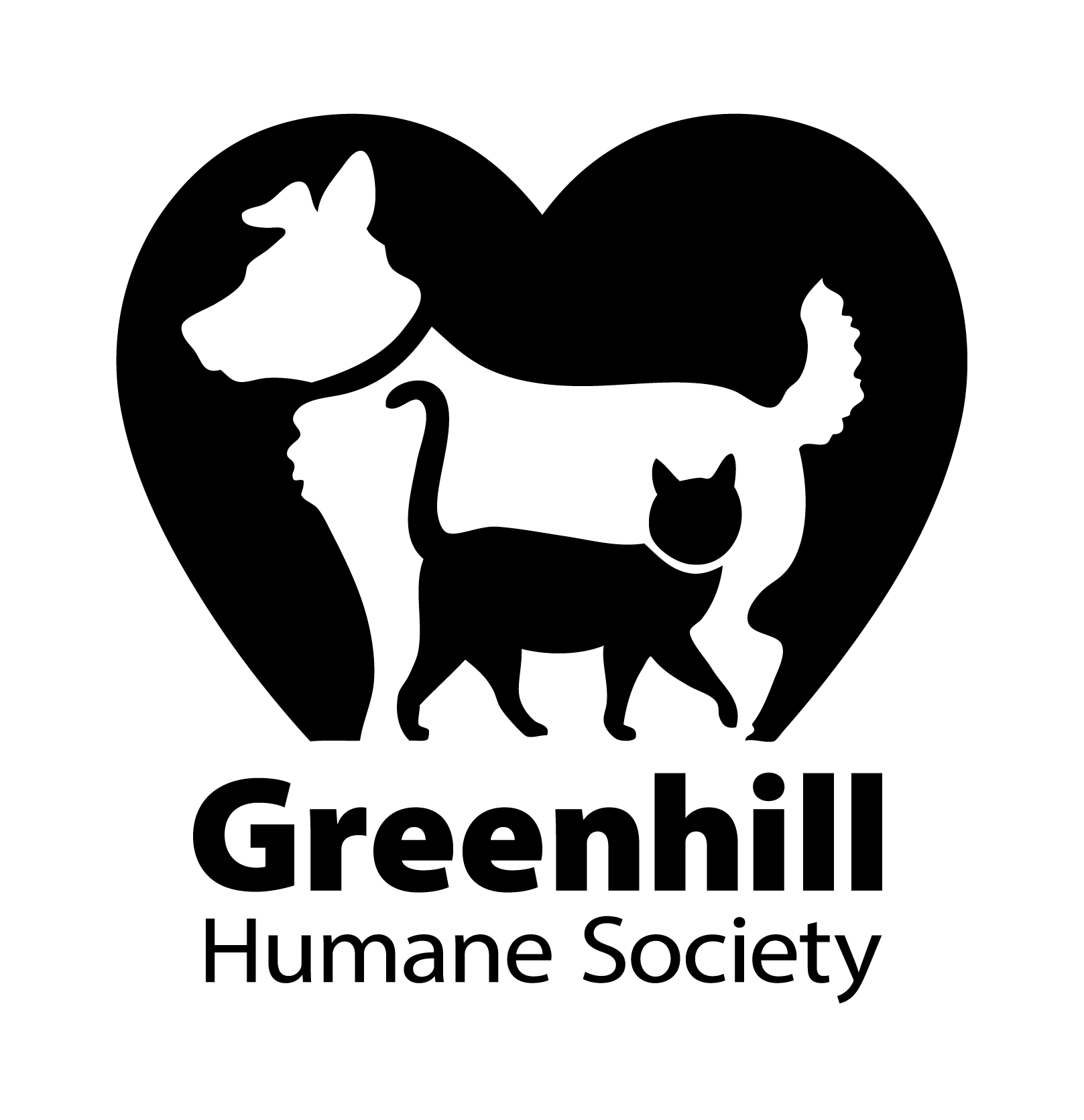 Greenhill Humane Society Recovers Thirty-One Cats Following Springfield ...